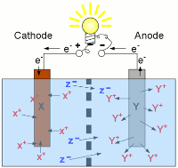 Secondary batteries - HomoFaciens